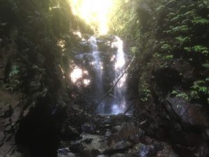 車でラミントン国立公園の行き方＆トレッキングコースで滝を観光