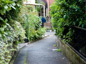 road・street・way・path・avenueの違い！英語で道の使い分け