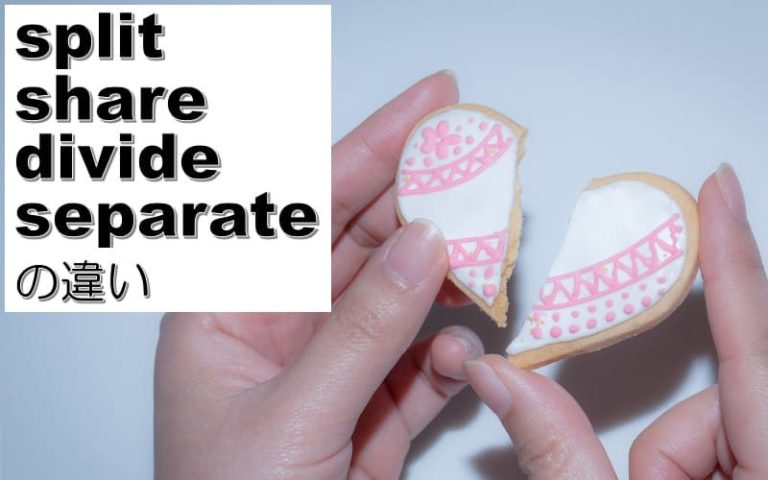 split・divide・separate・shareの違い！英語で「分ける」の使い方