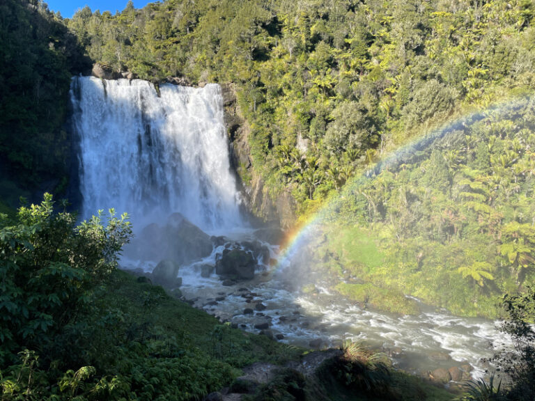ワイトモ洞窟よりおすすめ？marokopa fallsとmangapohue natural bridge